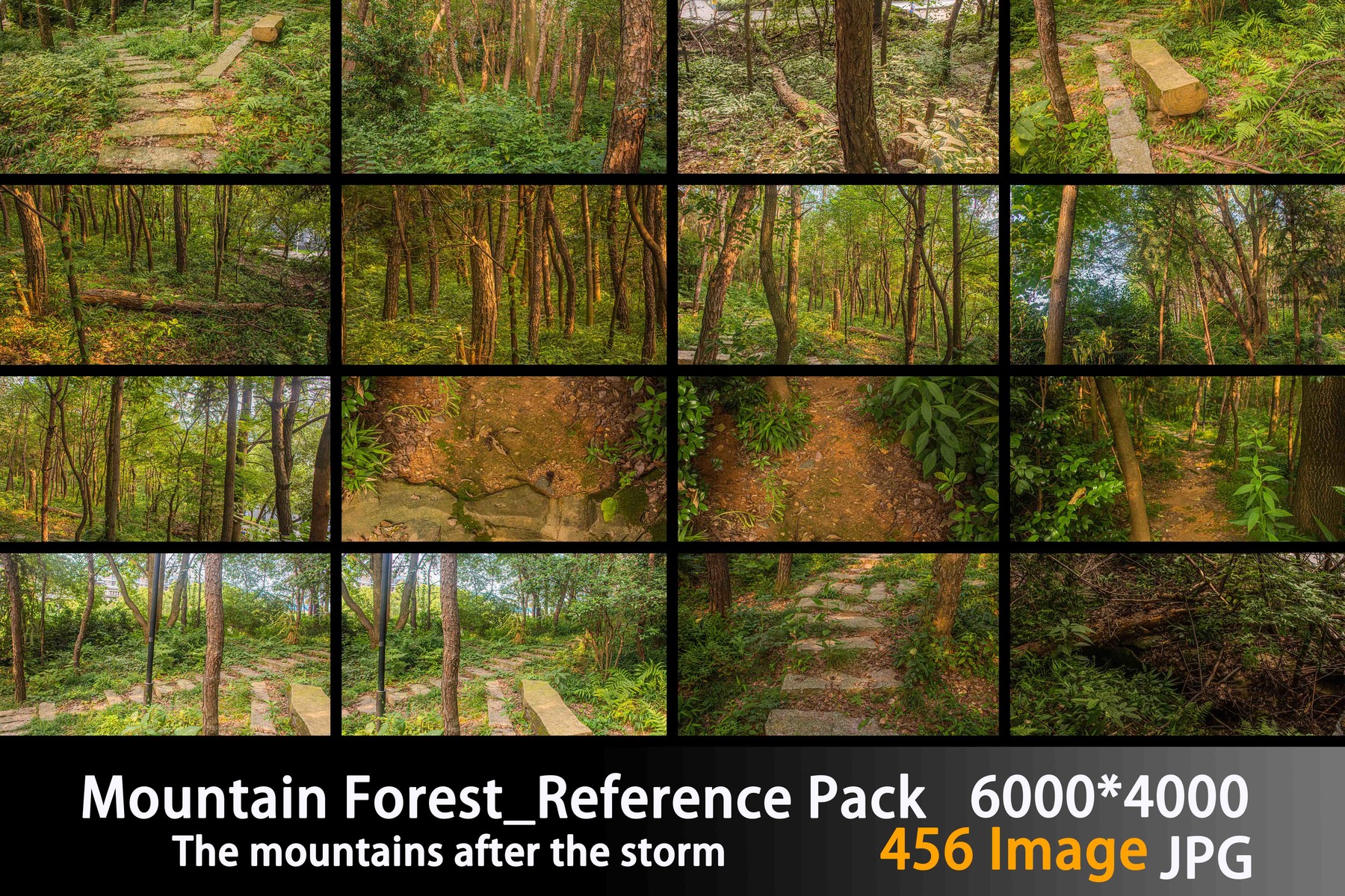 ArtStation - Mountain Forest_Reference Pack | Resources