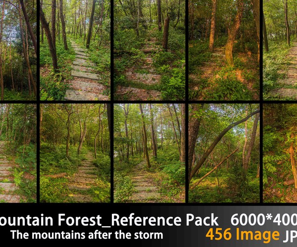 ArtStation - Mountain Forest_Reference Pack | Resources