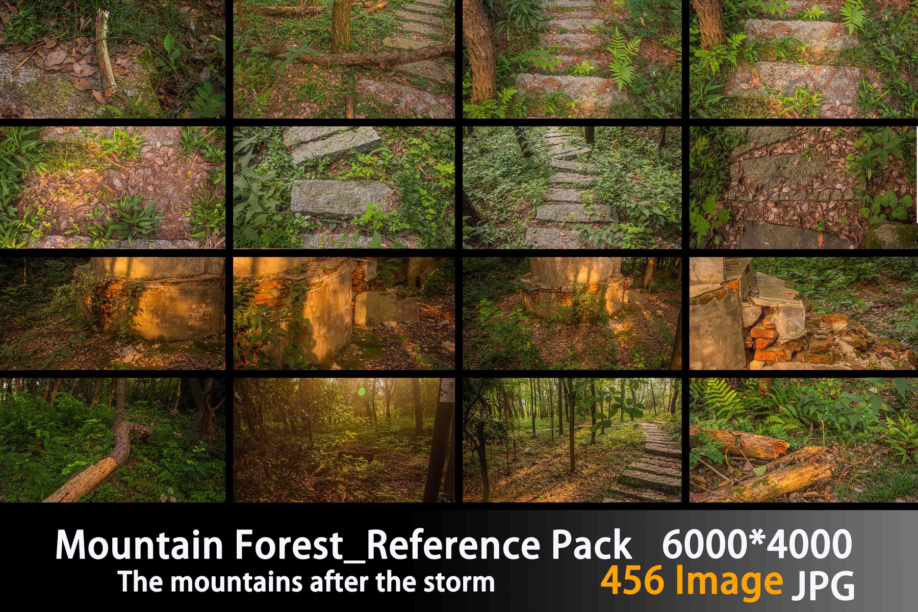 ArtStation - Mountain Forest_Reference Pack | Resources
