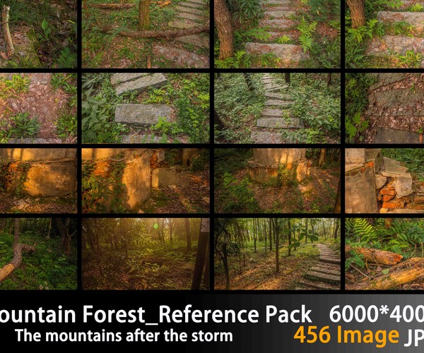 ArtStation - Mountain Forest_Reference Pack | Resources