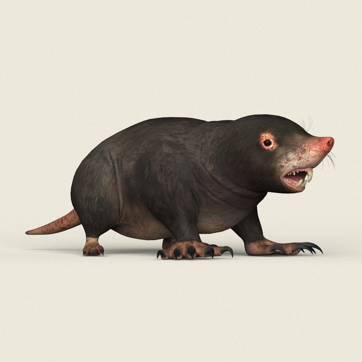 ArtStation - Mole | Resources