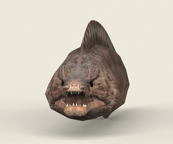 ArtStation - Moray Fish | Resources