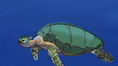 ArtStation - little turtle | Artworks