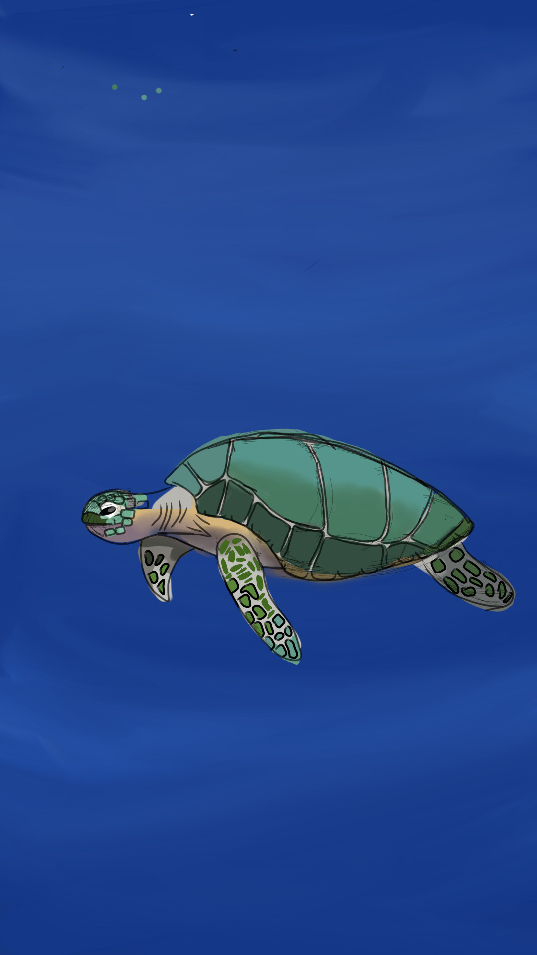 ArtStation - little turtle | Artworks