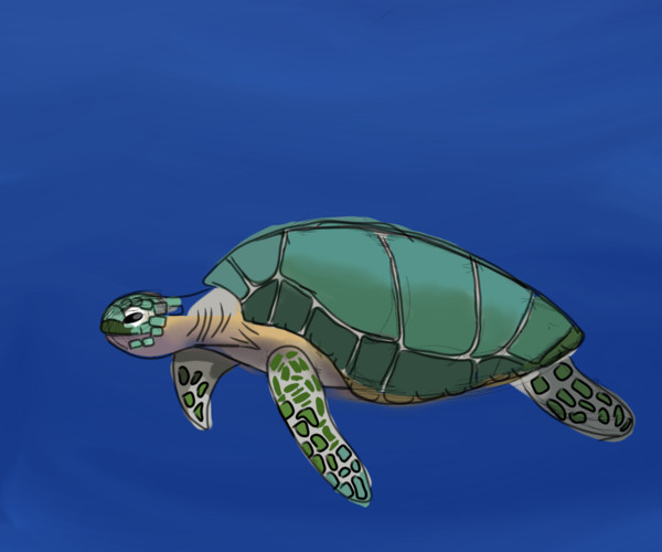 ArtStation - little turtle | Artworks