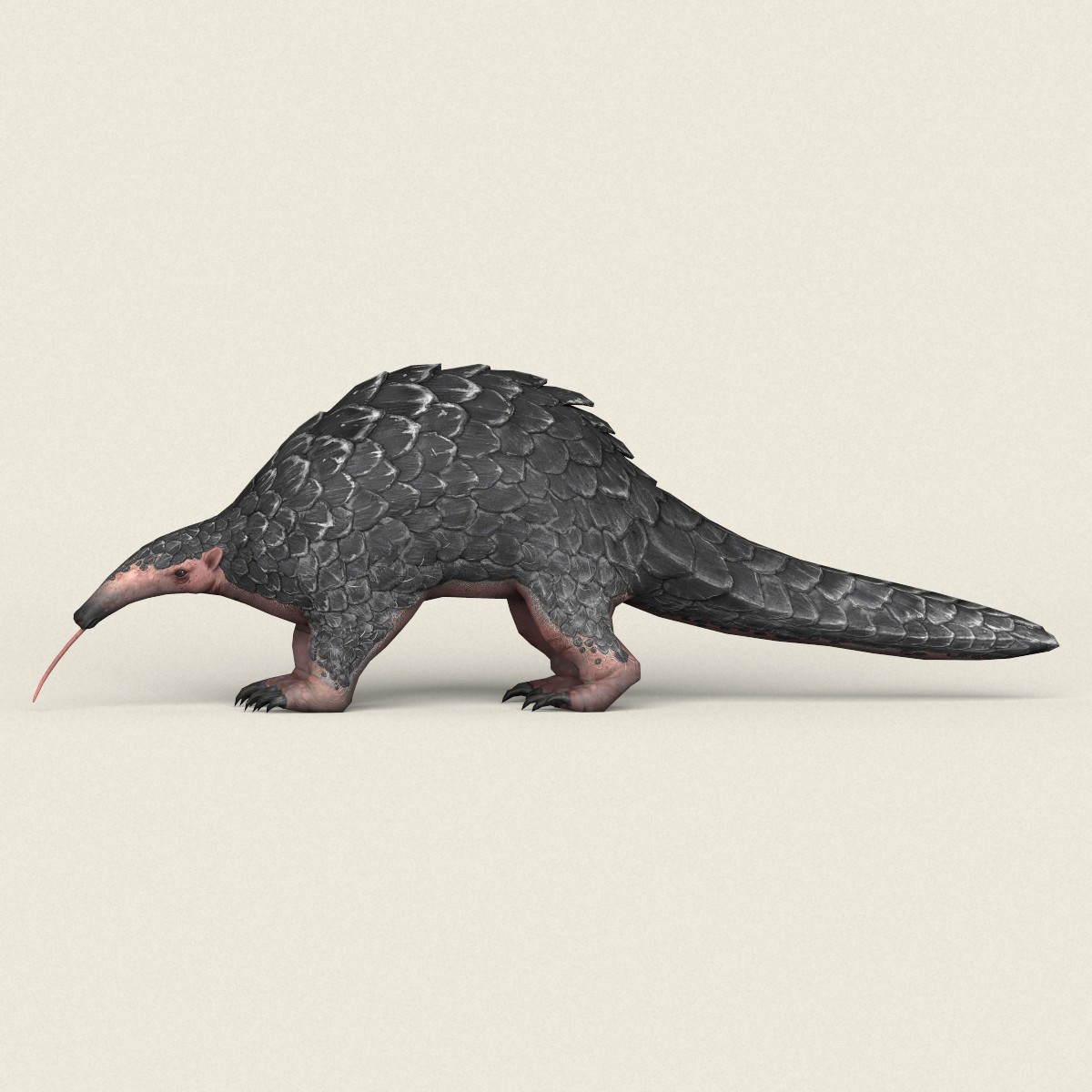 ArtStation - Pangolin | Resources