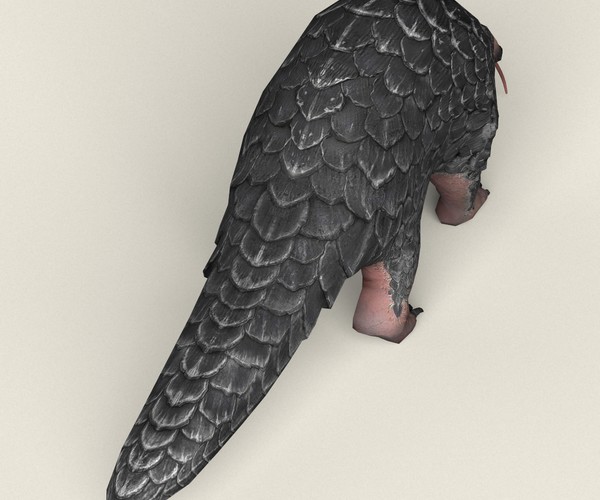 ArtStation - Pangolin | Resources