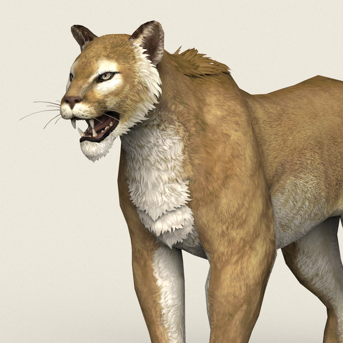 ArtStation - Puma | Resources