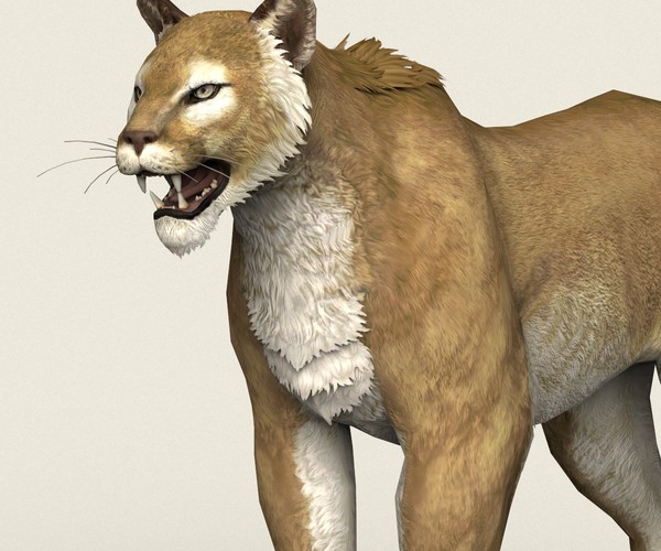 ArtStation - Puma | Resources