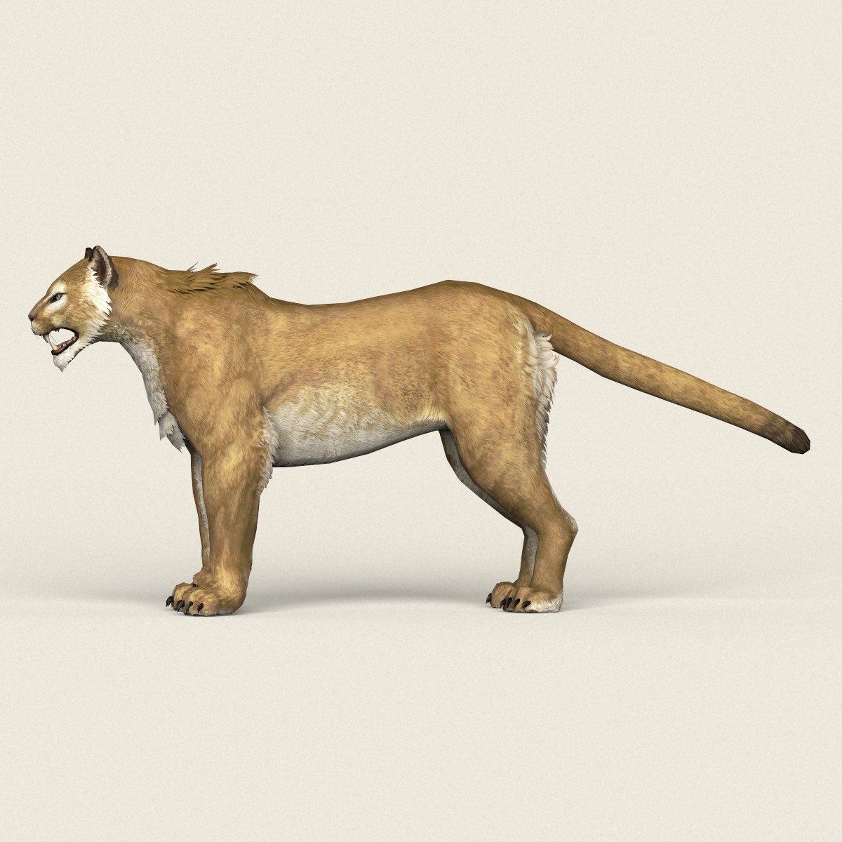 ArtStation - Puma | Resources