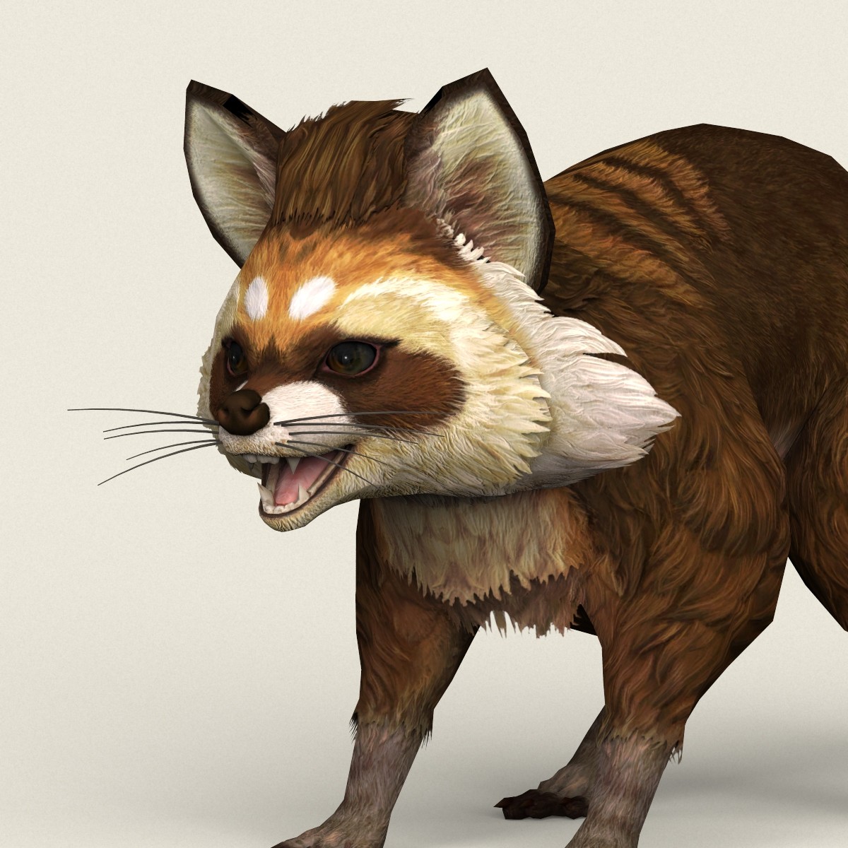 ArtStation - Raccoon | Resources