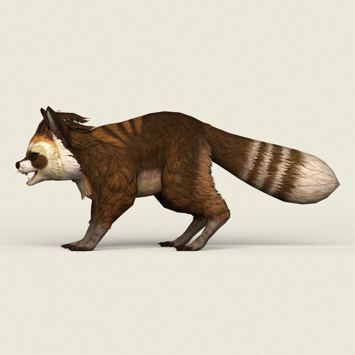 ArtStation - Raccoon | Resources