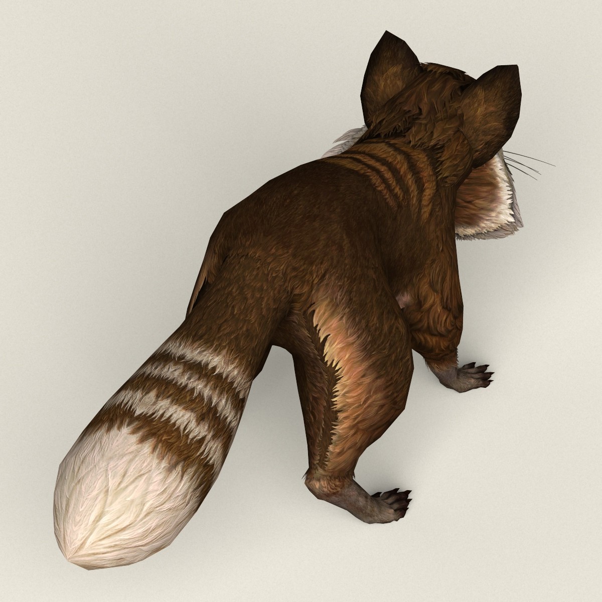 ArtStation - Raccoon | Resources