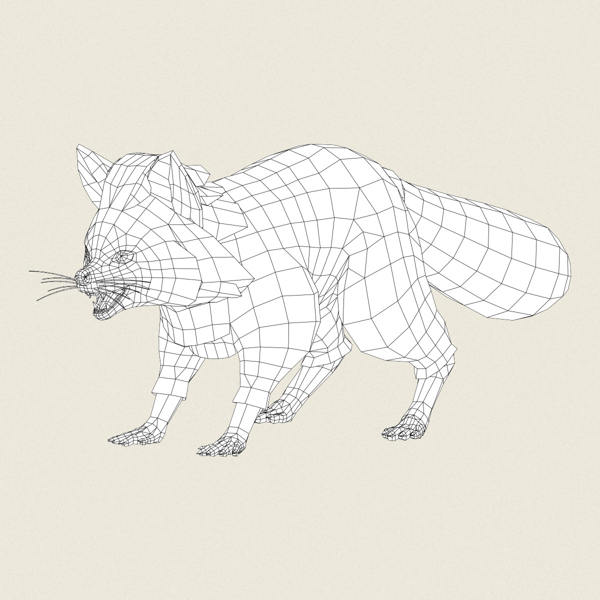 ArtStation - Raccoon | Resources