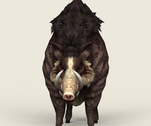 ArtStation - Wild Boar | Resources