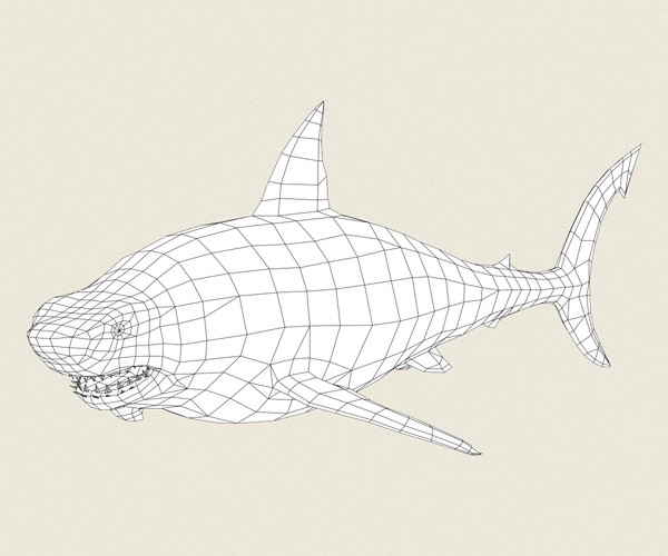 ArtStation - Shark | Resources