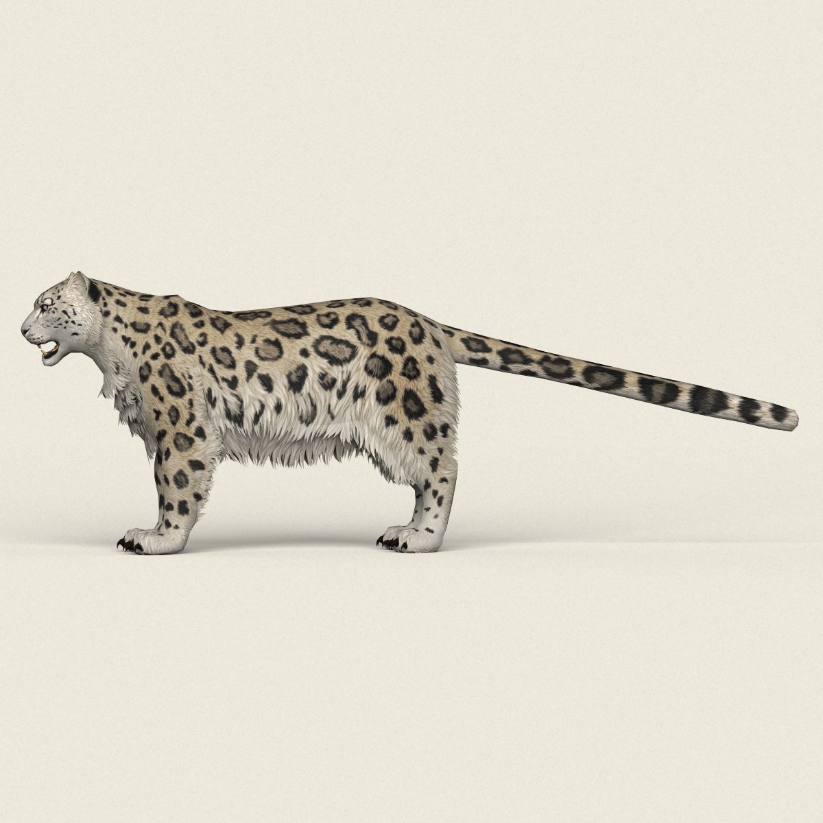 ArtStation - Snow Leopard | Resources