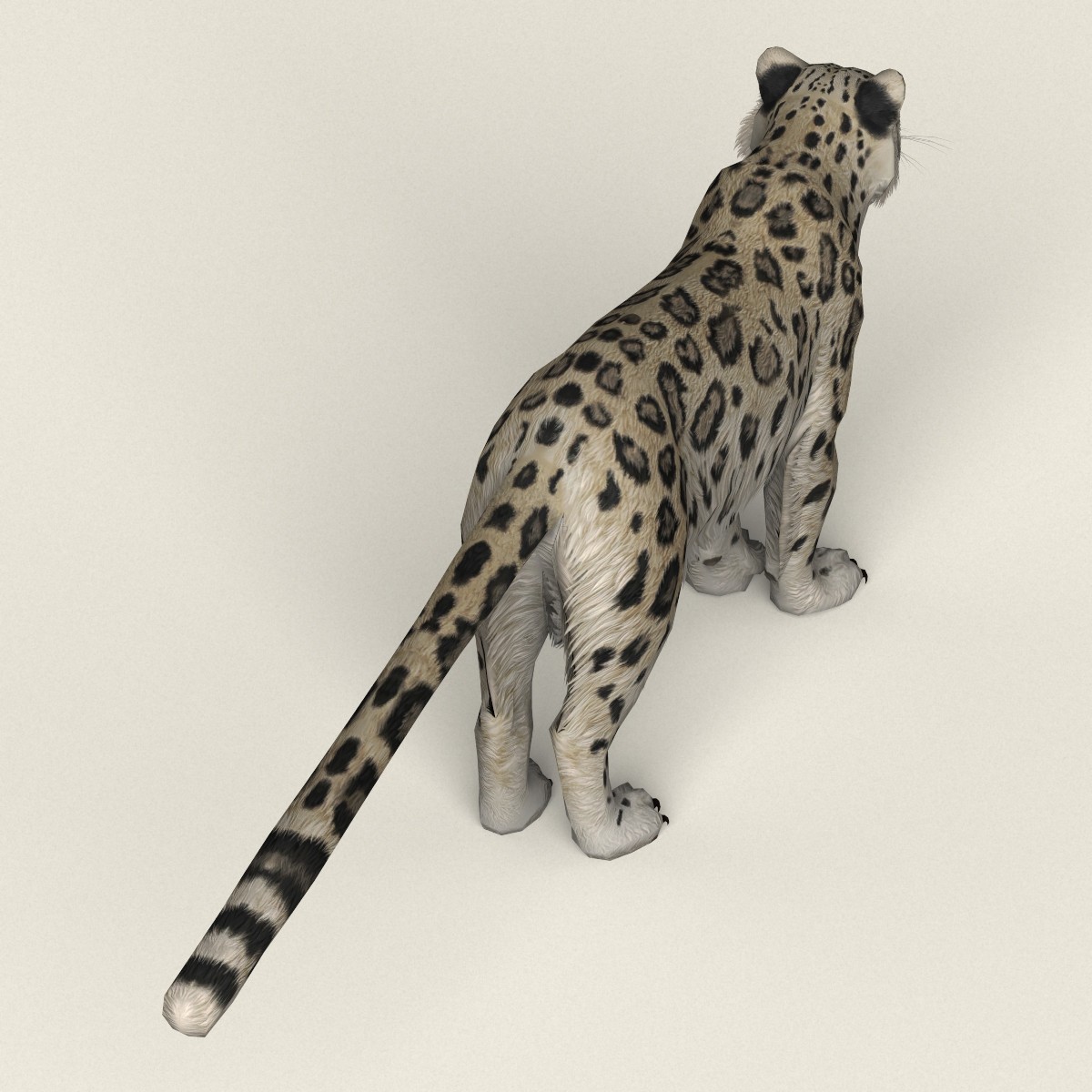 ArtStation - Snow Leopard | Resources