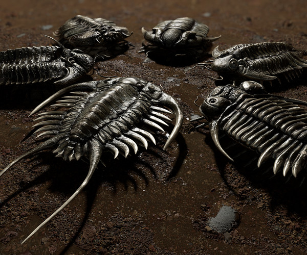 ArtStation - Trilobites Collection | Game Assets