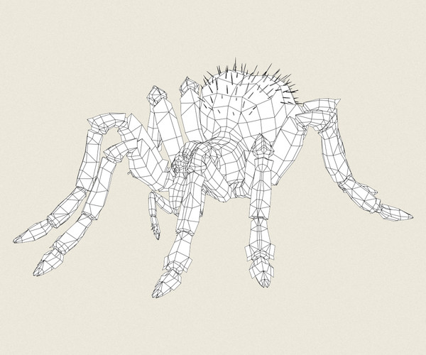 ArtStation - Spider | Resources