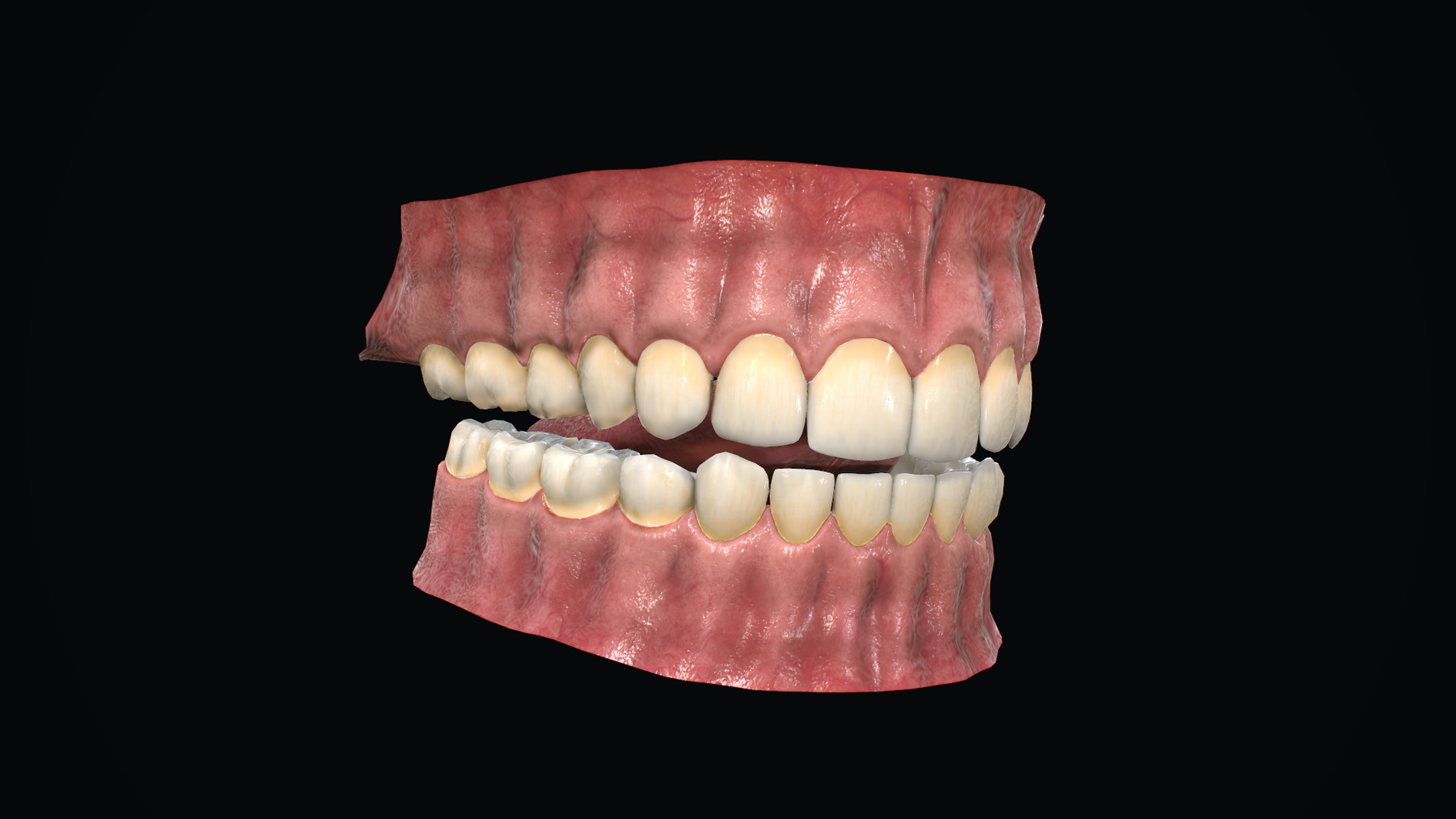 ArtStation - Teeth for production - With Gum, teeth and tongue / Game ...
