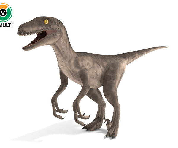 ArtStation - 3D Model: Velociraptor | Resources