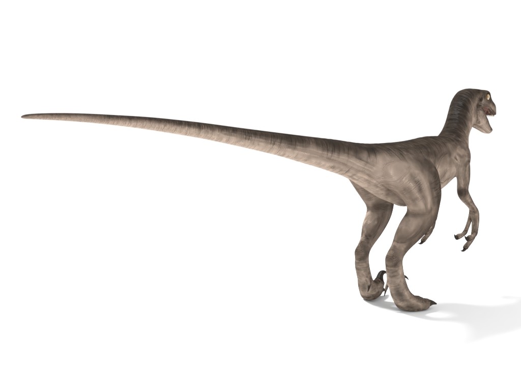 ArtStation - 3D Model: Velociraptor | Resources