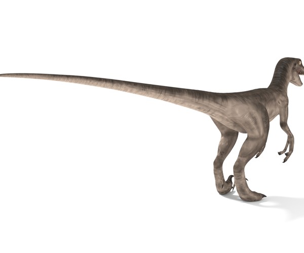 ArtStation - 3D Model: Velociraptor | Resources