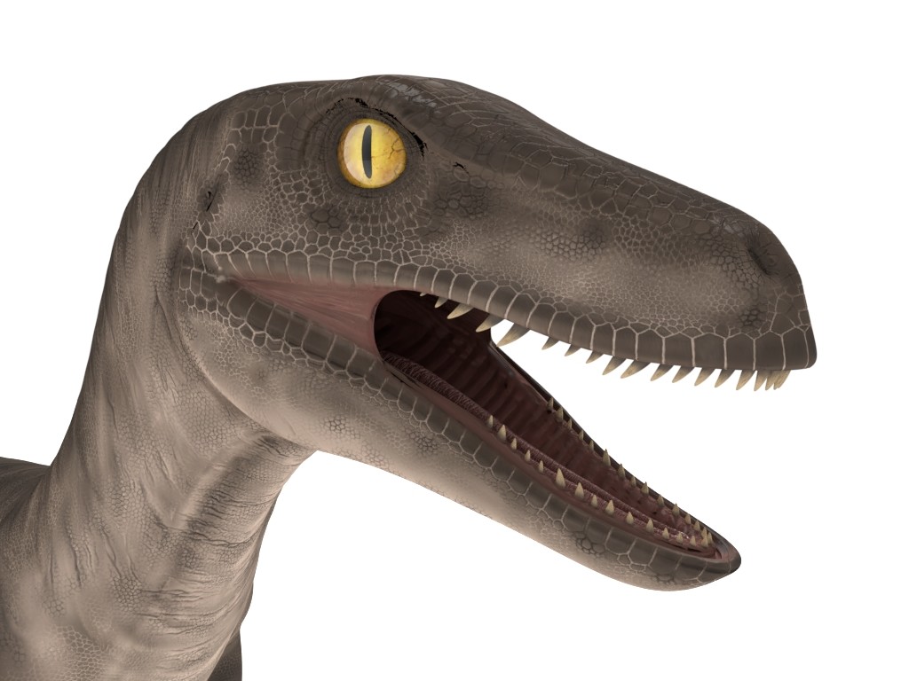 ArtStation - 3D Model: Velociraptor | Resources