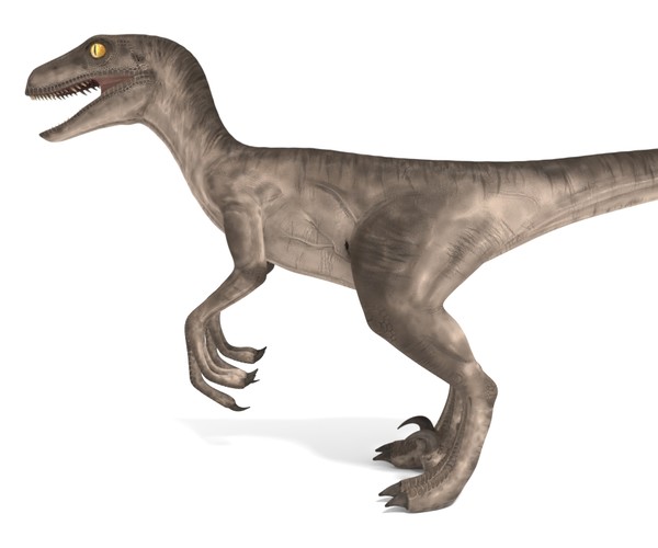 ArtStation - 3D Model: Velociraptor | Resources