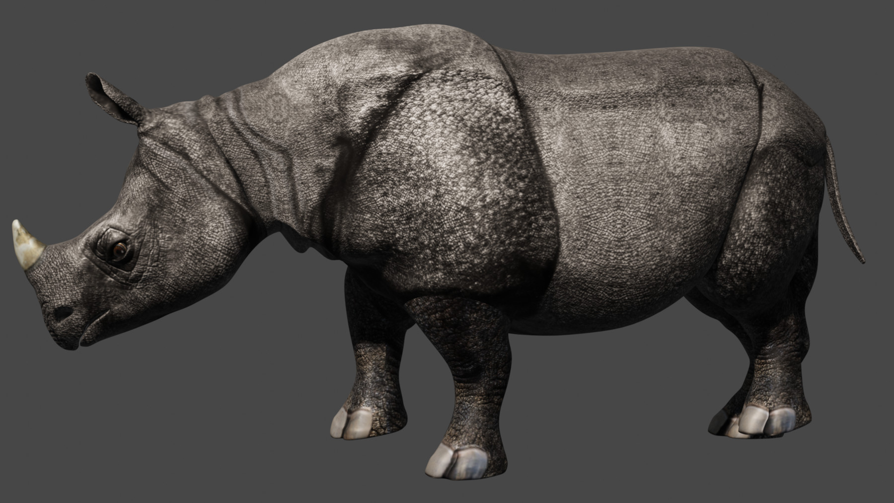 ArtStation - Rhino rigged animated | Game Assets