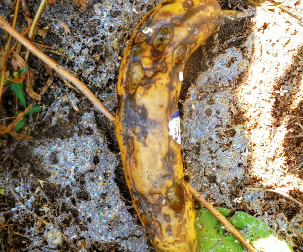 ArtStation - Decay - Photo Reference - pack 1 | Resources