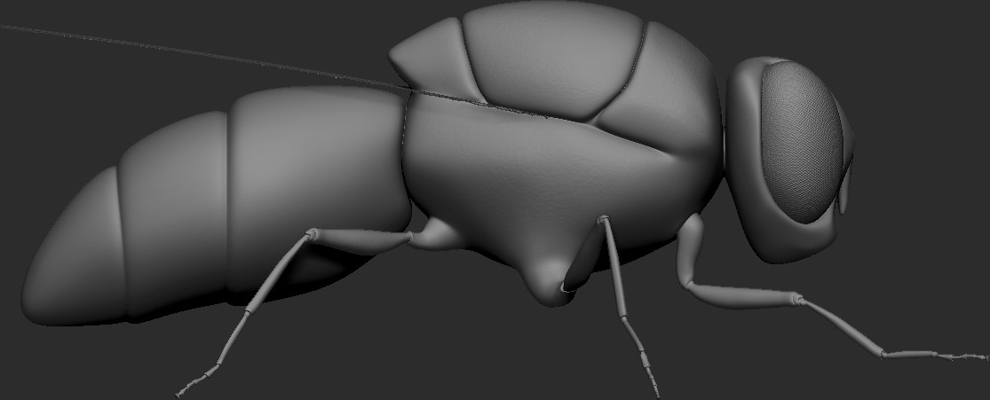 ArtStation - Housefly | Game Assets