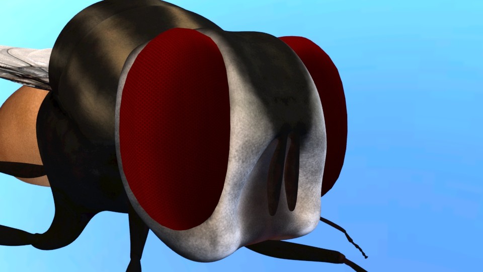 ArtStation - Housefly | Game Assets