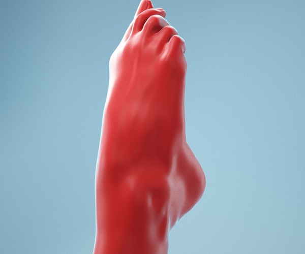 ArtStation - Crunched Toes Realistic Foot | Resources