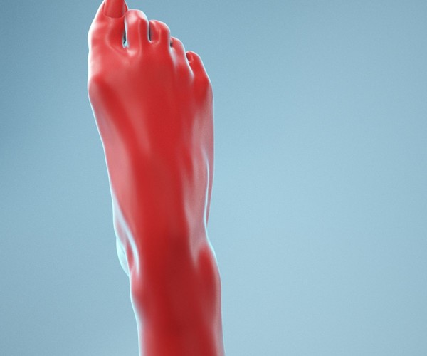 ArtStation - Crunched Toes Realistic Foot | Resources