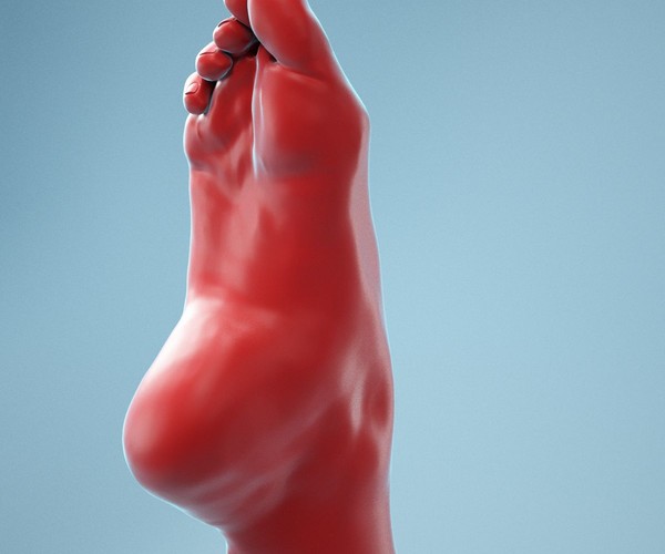 ArtStation - Crunched Toes Realistic Foot | Resources
