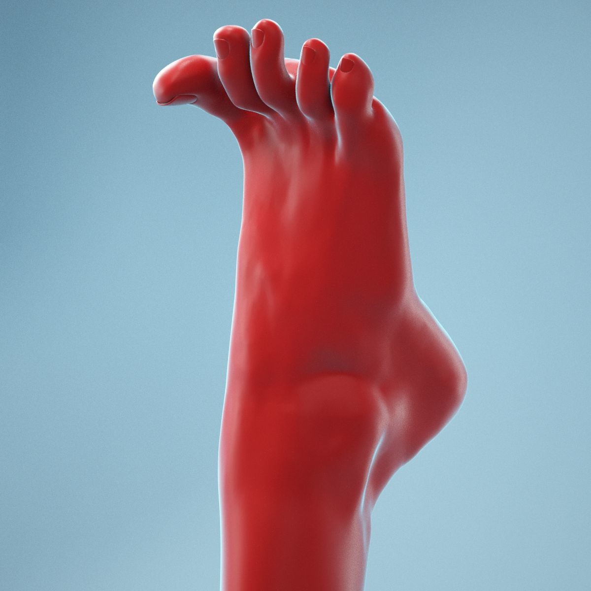 ArtStation - Open Toes Realistic Foot | Resources