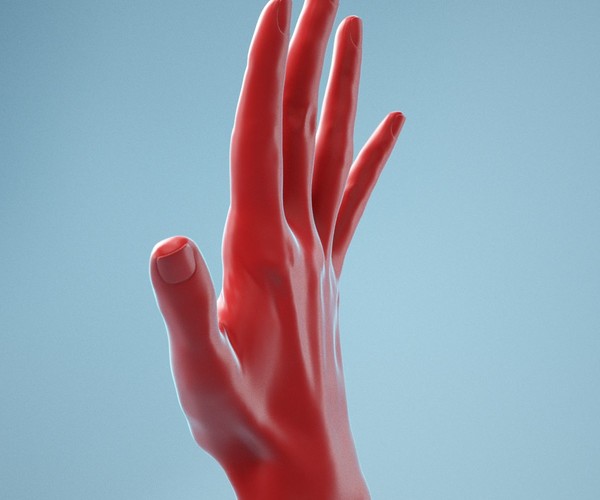 ArtStation - Standard Pose Realistic Hand | Resources