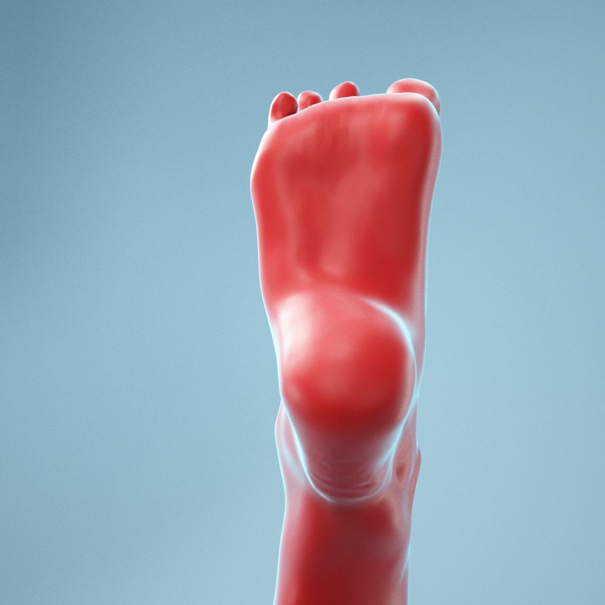 ArtStation - Tip Toes Heeled Realistic Foot | Resources