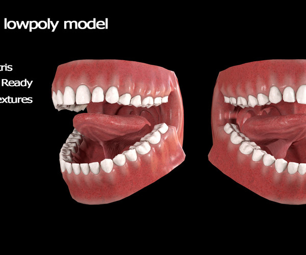 ArtStation - Teeth lowpoly model | Game Assets