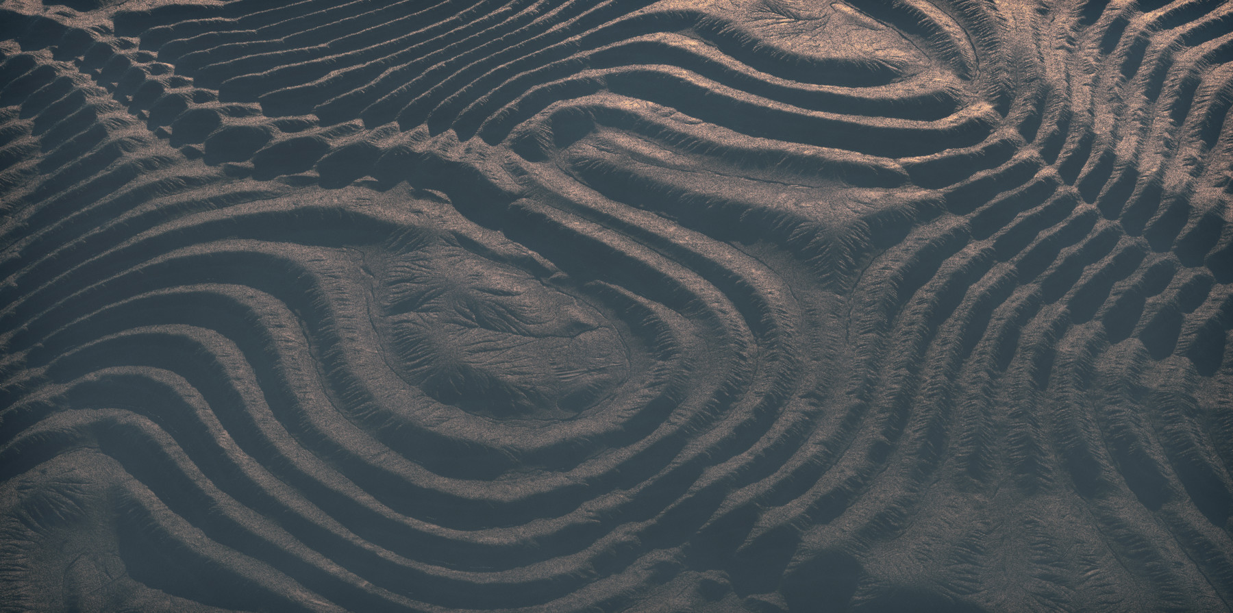 ArtStation - Height/Displacement map pack III Alien Environment B ...