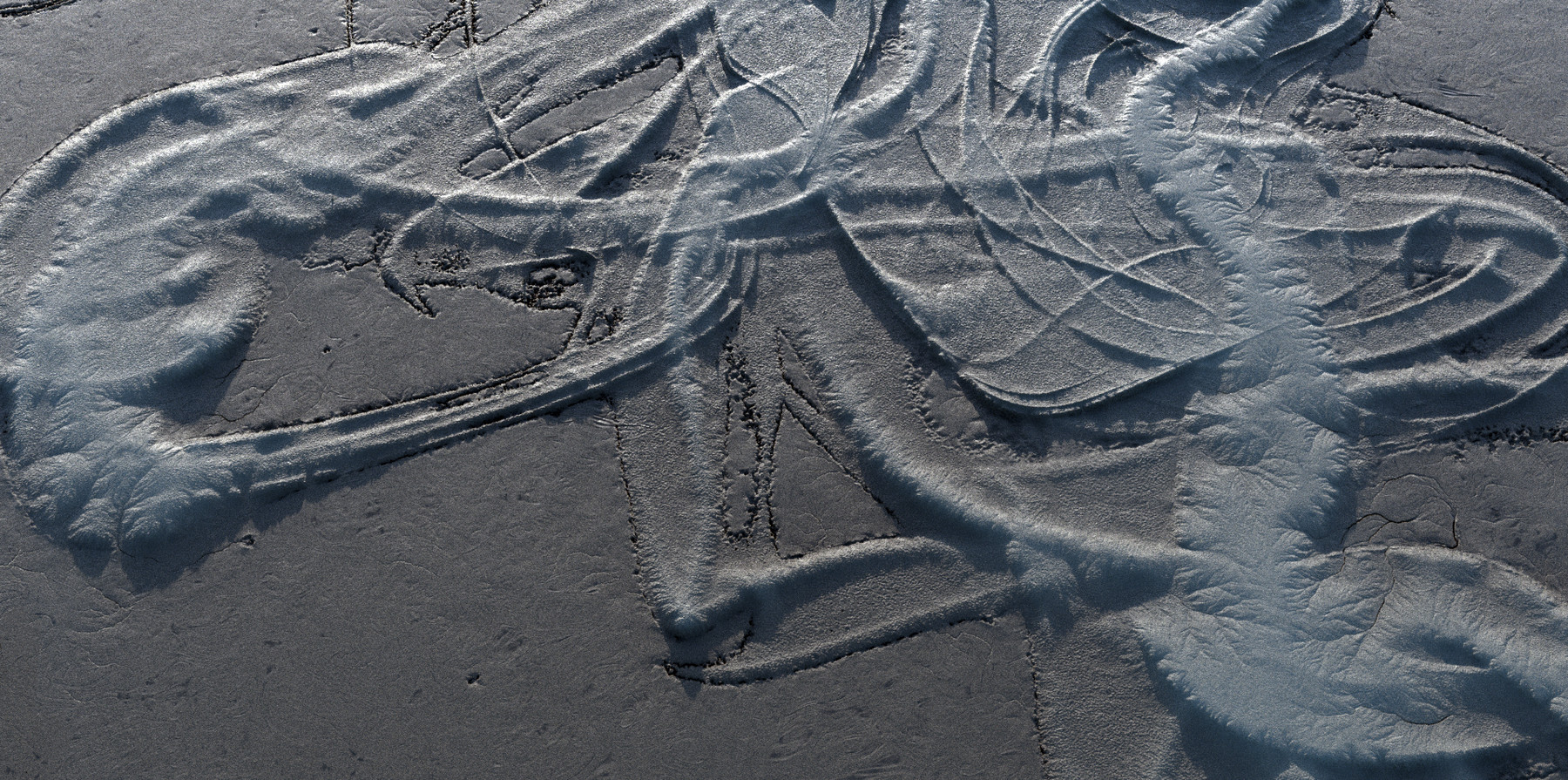 ArtStation - Height/Displacement map pack III Alien Environment B ...