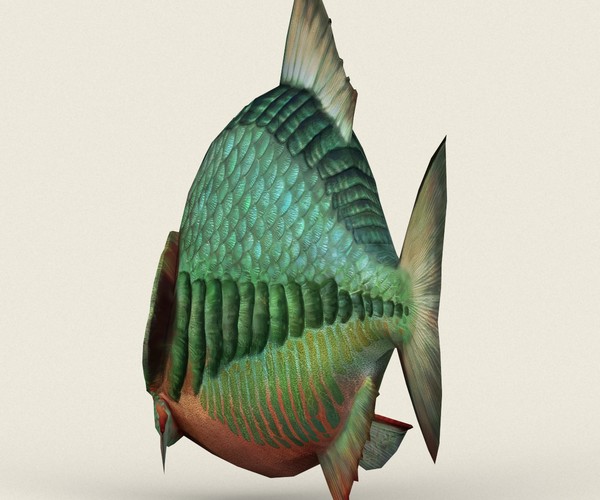 ArtStation - Fantasy Fish | Resources