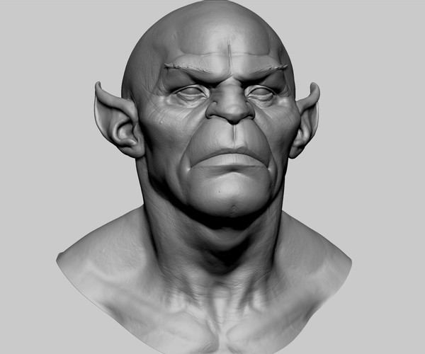 ArtStation - Panthro Head | Resources