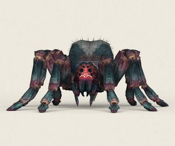 ArtStation - Fantasy Spider | Resources