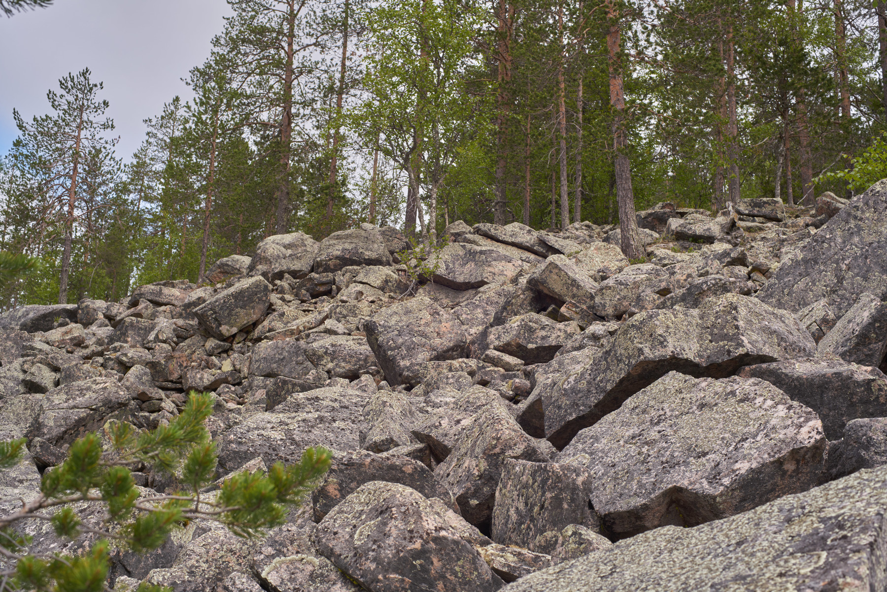 ArtStation - Nordic Rocks and Bedrock - Photopack | Resources