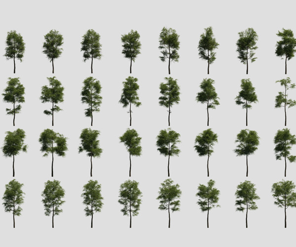 ArtStation - 58 Trees Alpha png | Resources