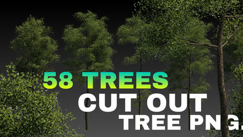 ArtStation - 31 Trees Alpha png | Resources