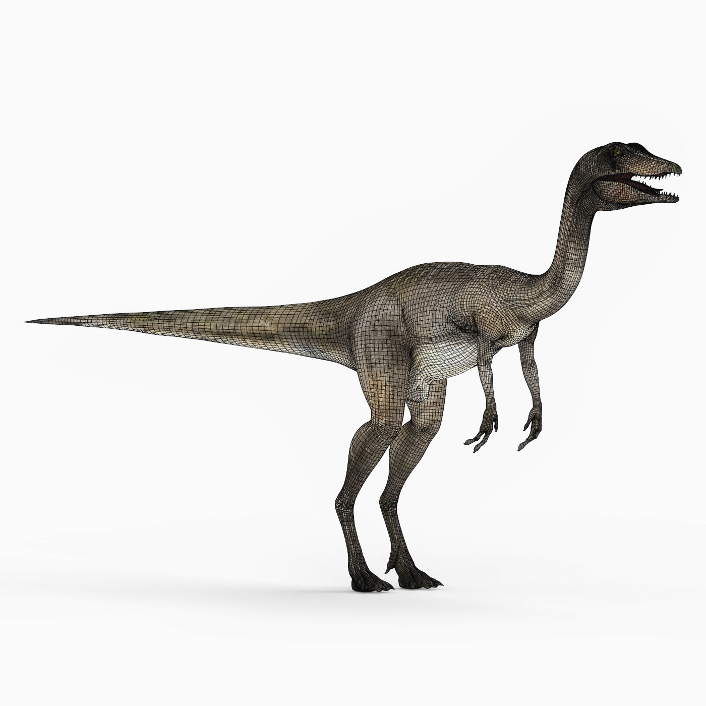 ArtStation - Compsognathus Dinosaur | Resources